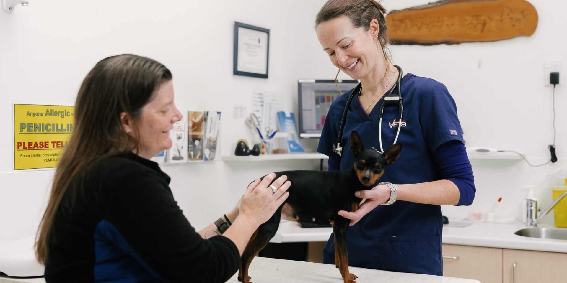 Emergency vet visit! … or not? - Totally Vets