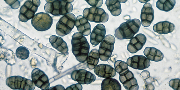 Contact – Totally Vets