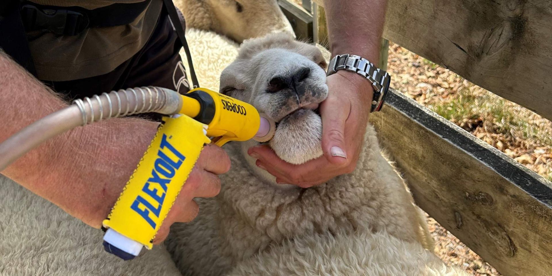 Farm – Totally Vets